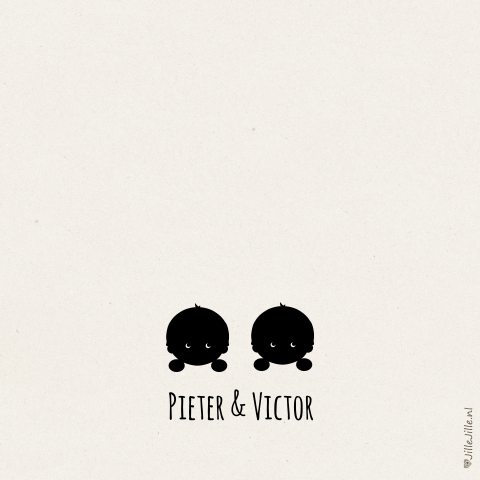 Mooi tweeling geboortekaartje met jongens silhouet